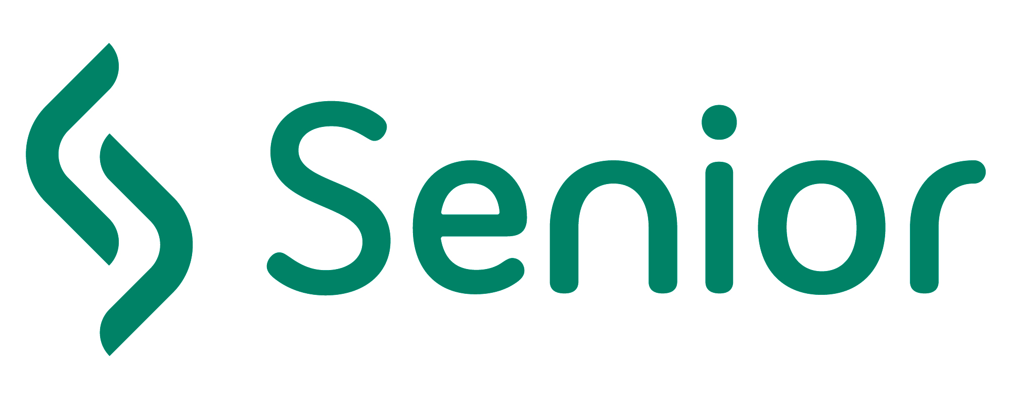 senior-sistemas-logo – Ana G. Soares